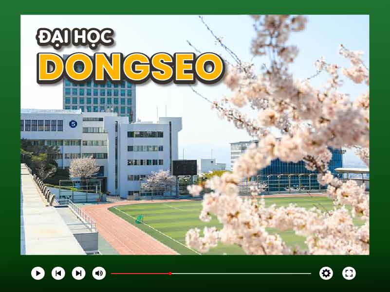 Trường Đại học Dongseo - Cập nhật năm 2024