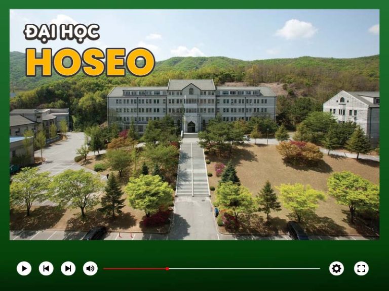 ĐẠI HỌC HOSEO: HỌC PHÍ, ĐIỀU KIỆN, HỌC BỔNG | 2025